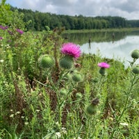 Sandy Ridge Reservation - Park