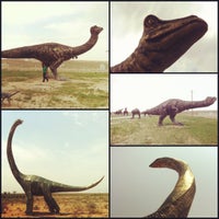 Erlian Border Control (Mongolia-China)