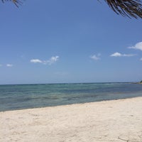 Bahía Punta Soliman - 5 tips from 192 visitors