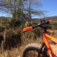 Old Mac Daddy - Resort