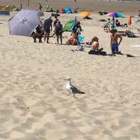 Strandpaviljoen Noordduine - 6 tips from 432 visitors