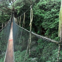 Canopy Walkway, FRIM