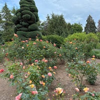 Woodland Park Rose Garden - Garden in Seattle