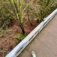 Ravenna Park - Seattle, WA