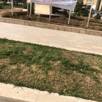 Yarmouk University - Irbid