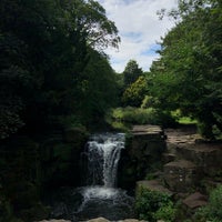 Jesmond Dene Nature Area - Jesmond