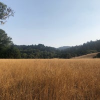 Earthquake Trail - Hiking Trail in Point Reyes Station