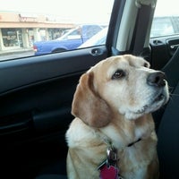 Poochie Bath & Boutique - 1 tip