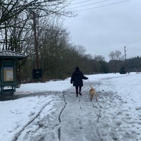 Cedar River Trail - Renton, WA