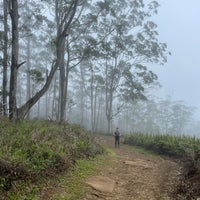 Waihe'e Ridge Trail - 11 tips from 736 visitors