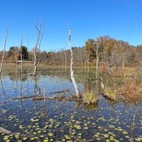 Cuyahoga Valley National Park - Beaver Marsh - Peninsula, OH