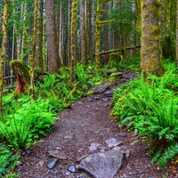 Ira Spring Trailhead (Now Closed) - Hiking Trail