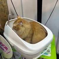 MATRADE Exhibition and Convention Centre (MECC) - 22 tips from 11470 ...