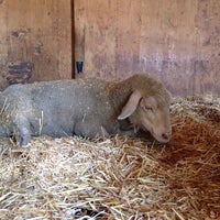 Animal Acres - Farm