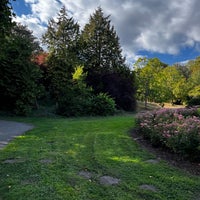 Leschi Park - Leschi - Seattle, WA