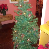 Santa Rita Tex Mex Cantina - Rosedale - Austin, TX