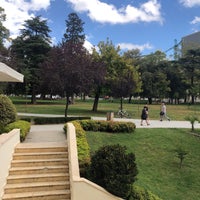 Parku Rinia - Park in Tirana