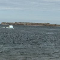 Chanonry Point - Beach