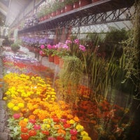 Vivero Mario - Palermo Viejo - Av. Raúl Scalabrini Ortíz 1240