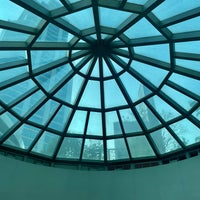 จัตุรัสจามจุรี (Chamchuri Square) - 264 tips