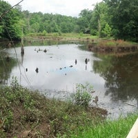 Neuse River Greenway Trail - Hedingham - Raleigh, NC