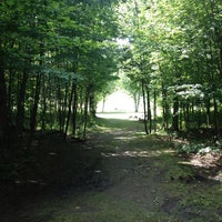 Flip City Disc Golf Course - 4 tips