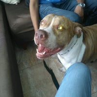 TransMilenio: Portal del Tunal - Venecia - 10 tips from 512 visitors