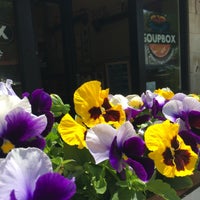 Soupbox (Now Closed) - Soup Spot in Lake View East