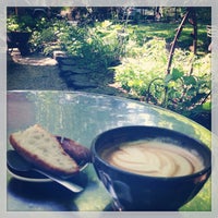 Caffe Driade - Coffee Shop