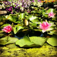 Wayside Garden Center - 5 tips