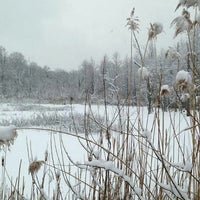 Herring Run Park - Mayfield - Montebello - Baltimore, MD