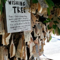 The Wishing Tree - Tree