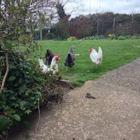 Beechenhill Farm - Farm