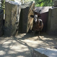 The Garbage Goat - Riverside - Spokane, WA