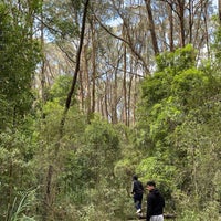 Silvan Reservoir Park - Hiking Trail in Silvan