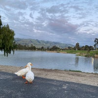 Lake Cunningham Park - Park