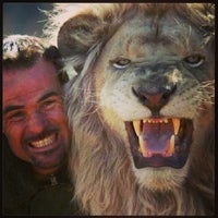 Orita challenge - 1 tip