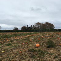 Milk Pail Farms - Watermill, NY