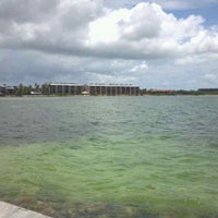 Higgs Memorial Beach - Beach