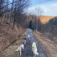 Back Mountain Trail - 1 tip from 91 visitors