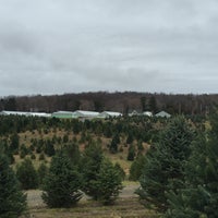 Battenfeld's Christmas Tree Farm - Rhinebeck, NY