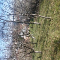 Parcul Trivale - 4 tips from 114 visitors