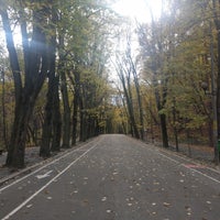 Parcul Trivale - 4 tips from 114 visitors