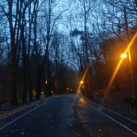 Parcul Trivale - 4 tips from 114 visitors