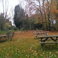 Swettenham Arms - Swettenham Lane