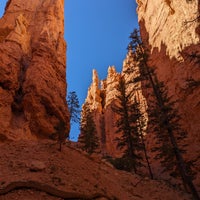 Navajo Loop Trail - 5 tips