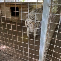 G.W. Exotic Animal Park - Zoo in Wynnewood