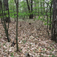 Riley Trails - Hiking Trail