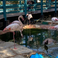 Haifa Zoo - 15 tips from 328 visitors
