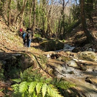 Χιονοδρομικό Κέντρο Πηλίου (Pilio Ski Center) - Μαγνησία, Μαγνησία